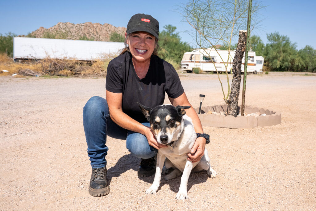 Abandoned pets in your neighborhood? Who ya gonna call... not the cops ...